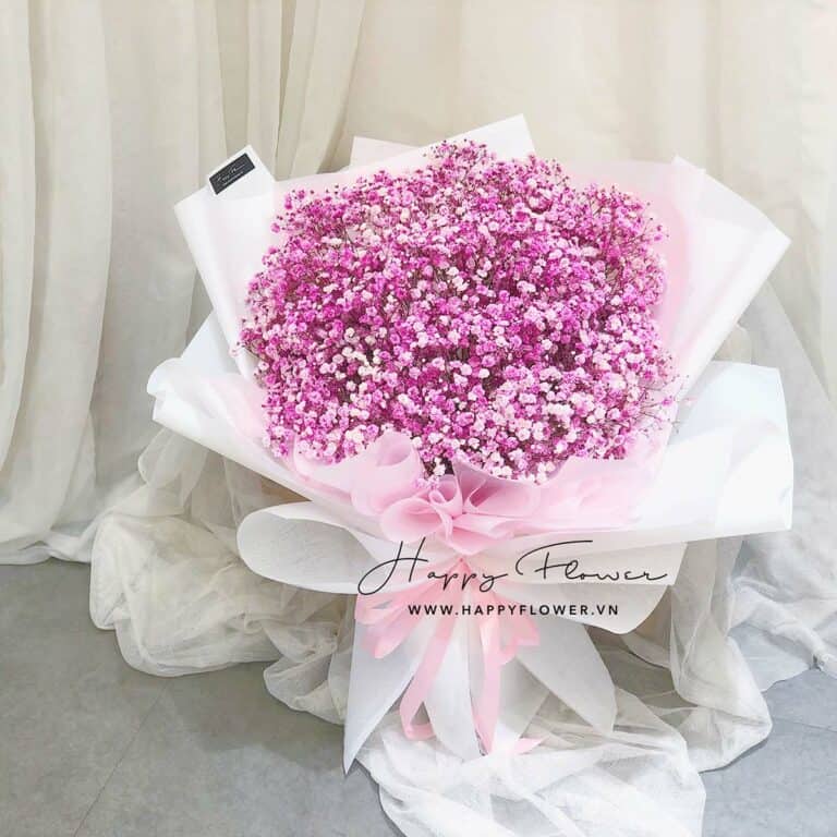 Nguồn gốc, ý nghĩa hoa baby trong tình yêu và cuộc sống