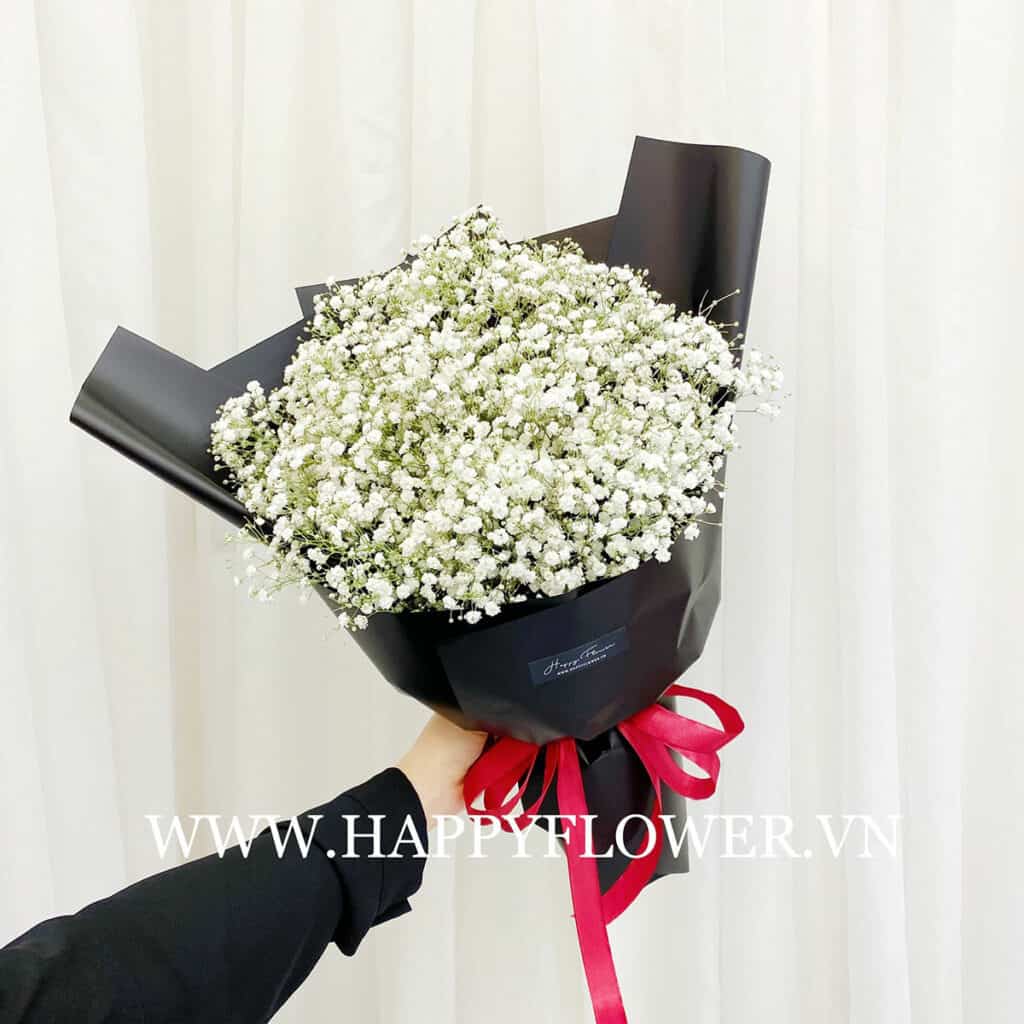 Nguồn gốc, ý nghĩa hoa baby trong tình yêu và cuộc sống