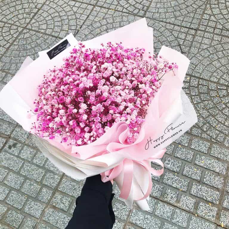 Nguồn gốc, ý nghĩa hoa baby trong tình yêu và cuộc sống