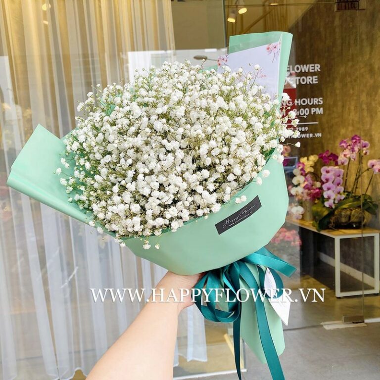 Hoa baby giá bao nhiêu? Địa chỉ mua hoa baby rẻ đẹp