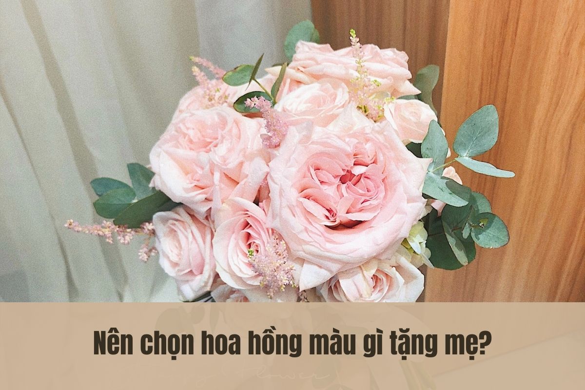 Nên chọn hoa hồng màu gì tặng mẹ? Hoa hồng tặng mẹ ý nghĩa | Flowerfarm ...